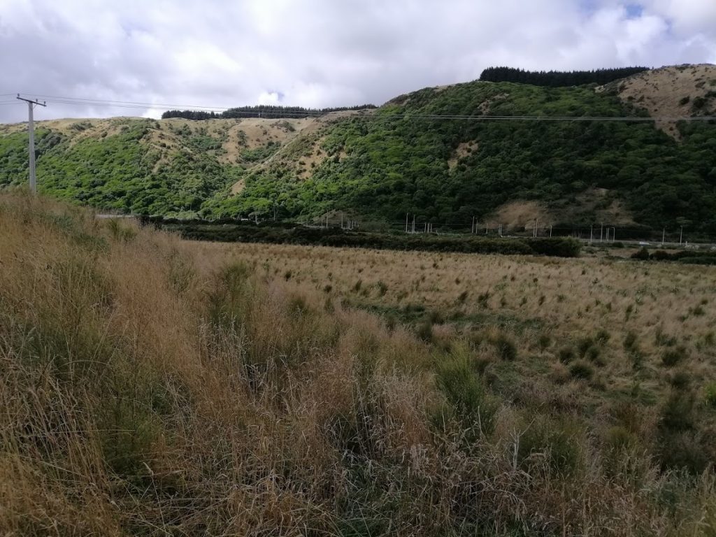 News – Groundtruth